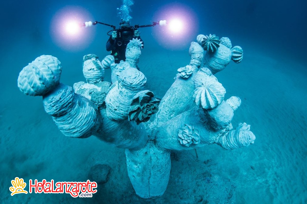 Museo Atlántico de Lanzarote - HolaLanzarote.com